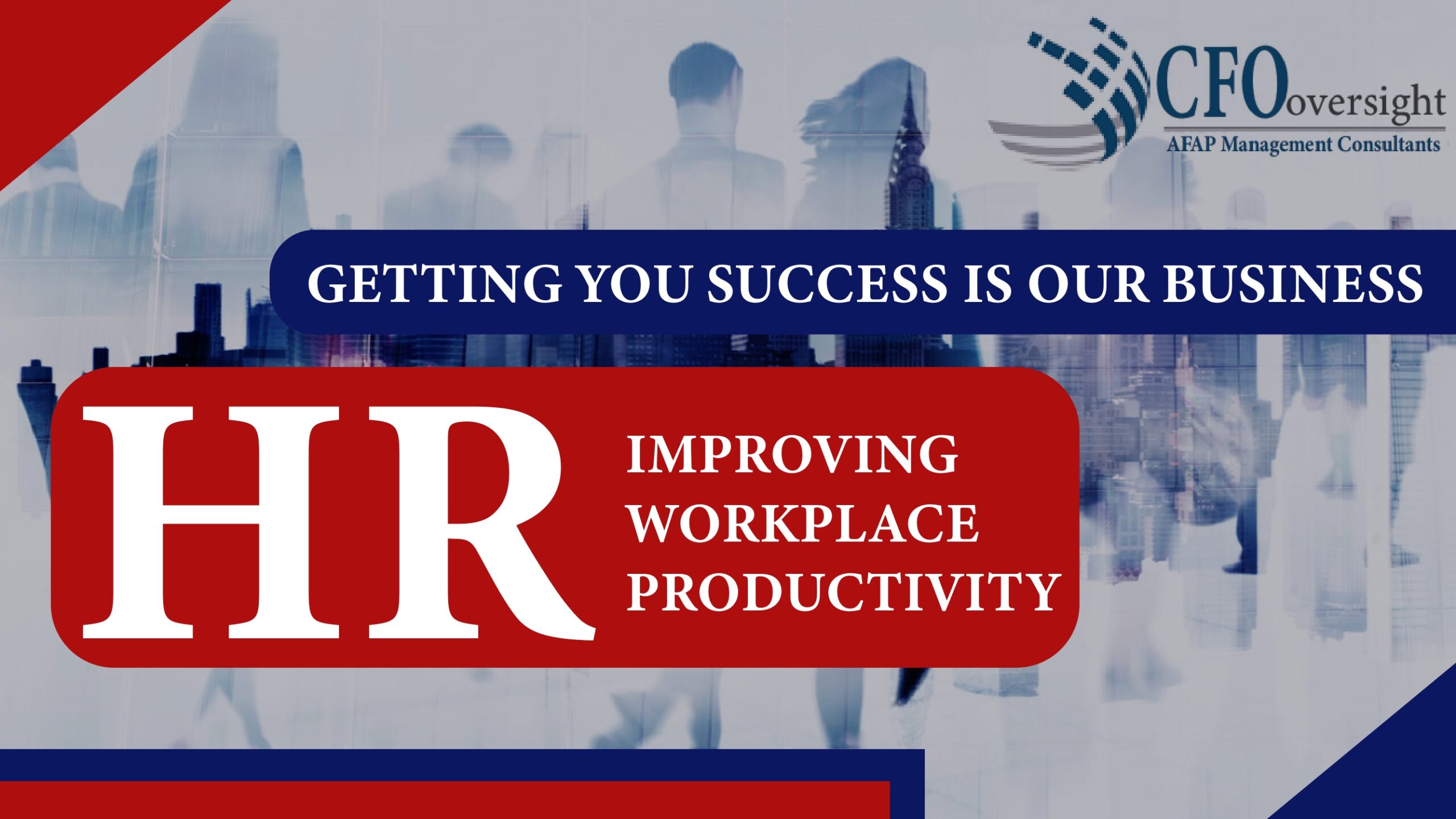 Human Resource Consulting CFO Oversight